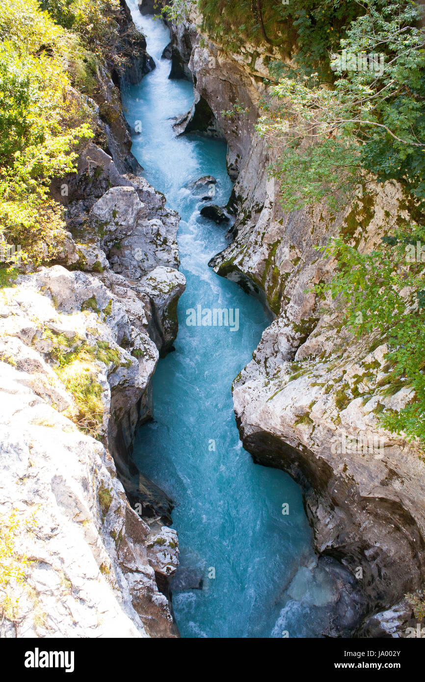 river, water, nature, travel, tree, flow, stone, wild, shine, shines ...