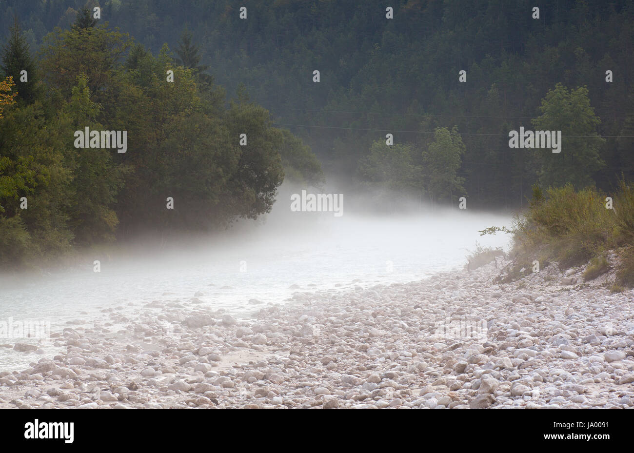 fog, river, water, nature, travel, tree, flow, stone, wild, shine ...