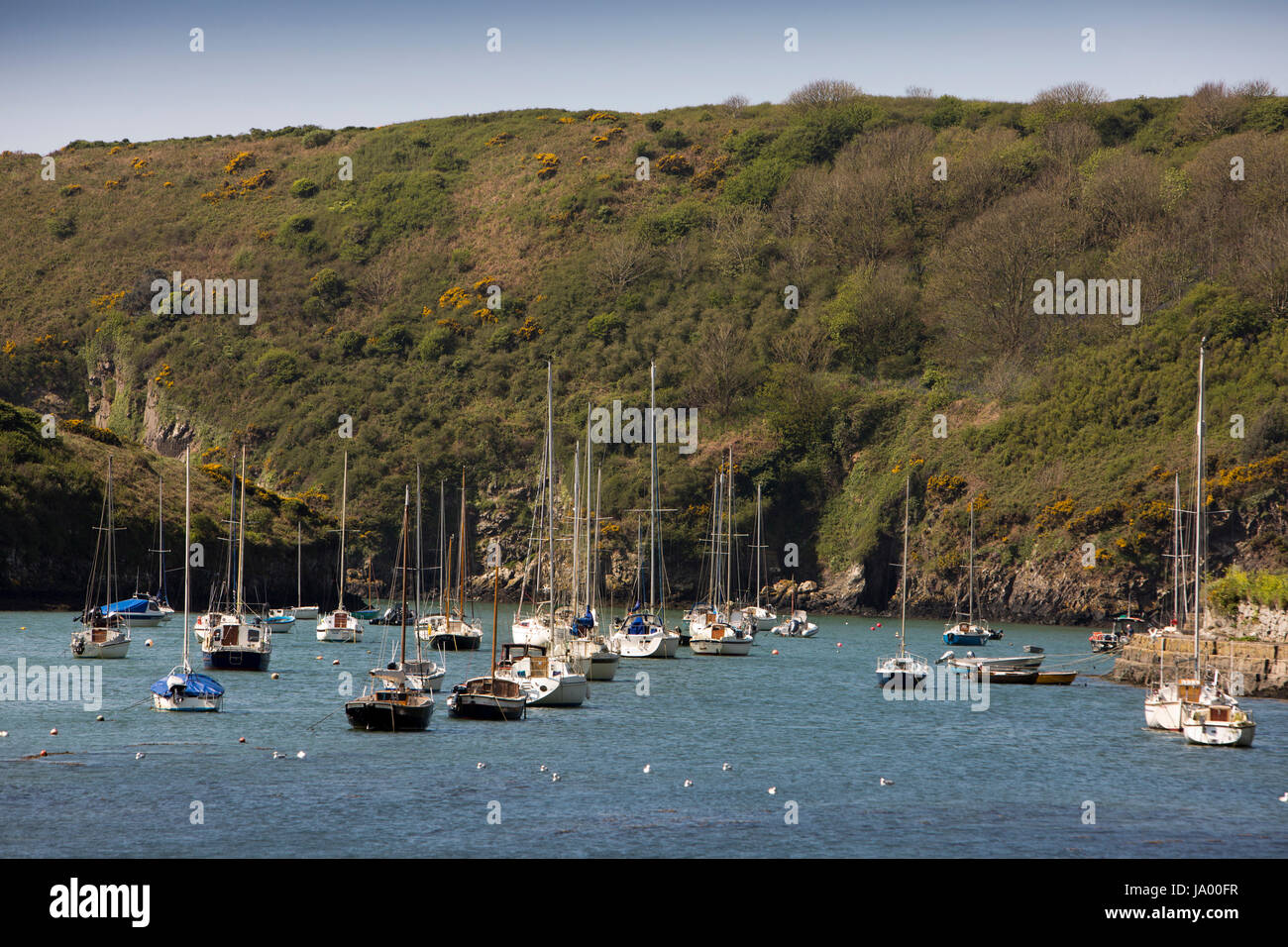 UK, Wales, Pembrokeshire, Solva, leiaure boats moored in sheltered ...