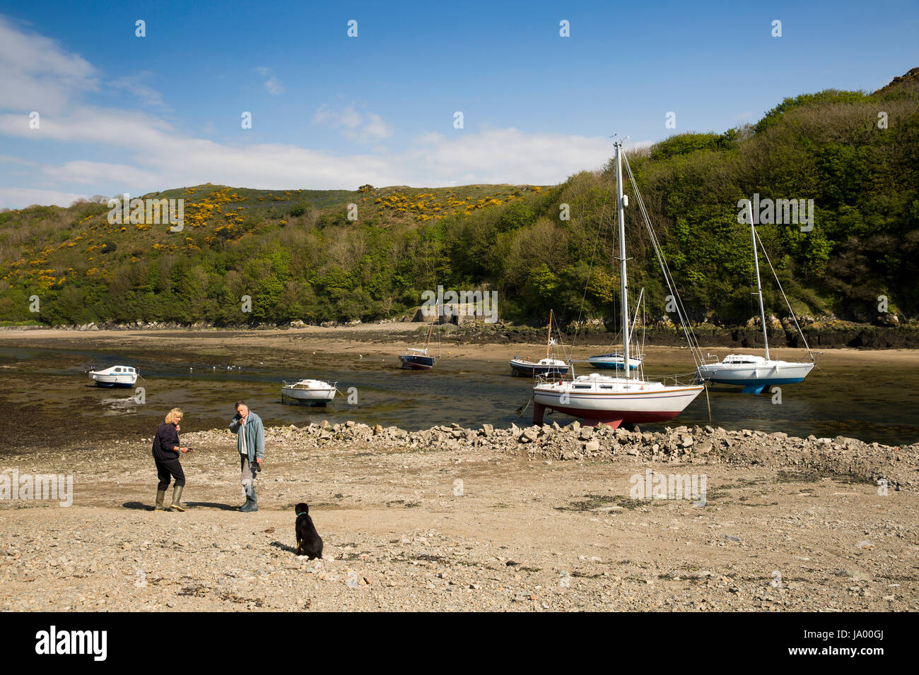 UK, Wales, Pembrokeshire, Solva, Harbour, couple walking dog on slipway ...