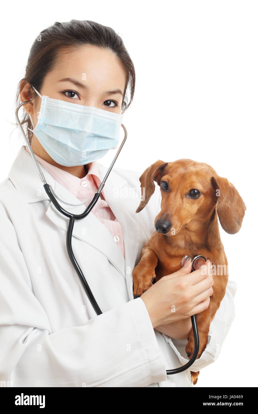 doctor, physician, medic, medical practicioner, woman, humans, human ...