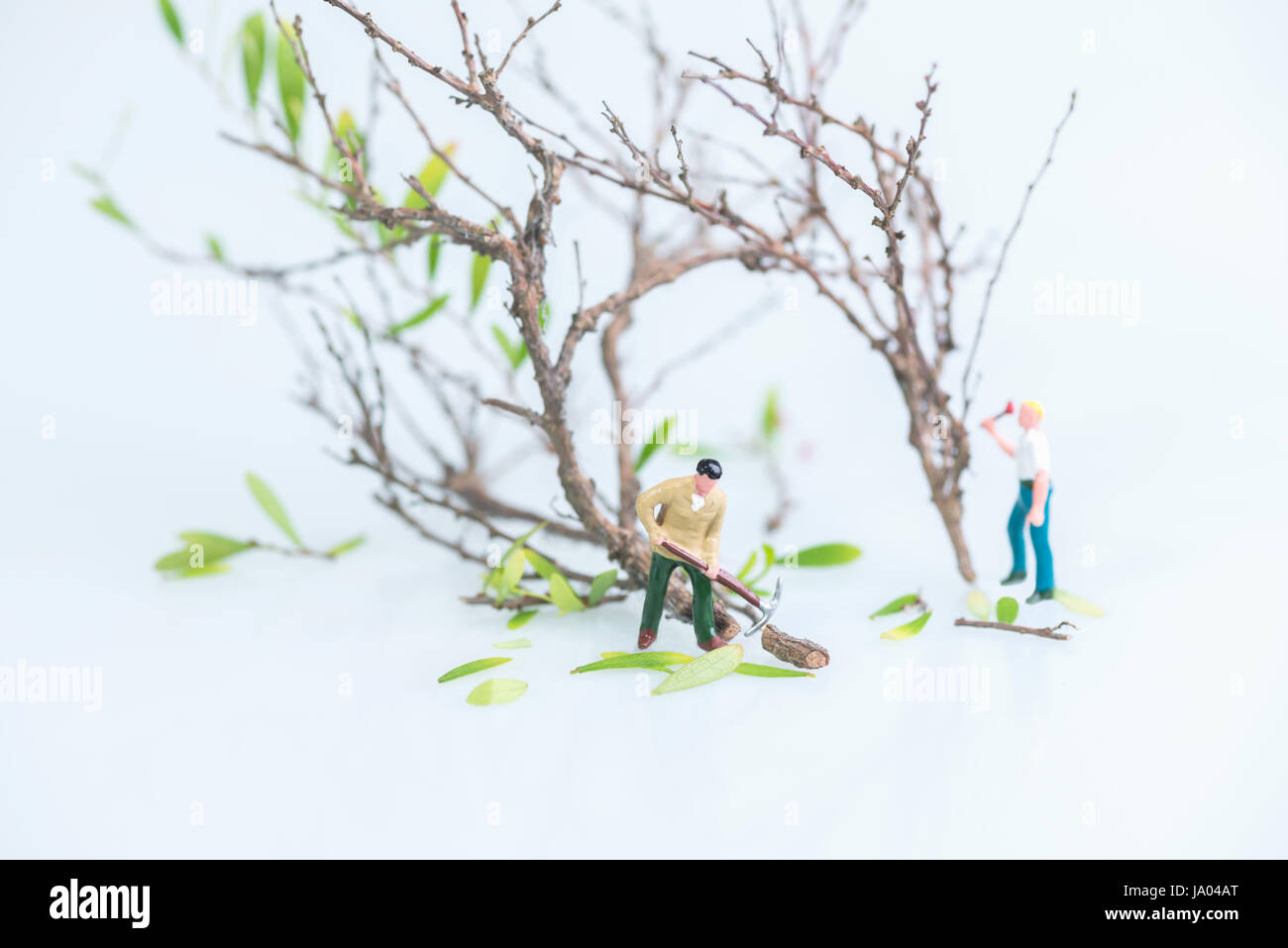 humans, human beings, people, folk, persons, human, human being, small ...