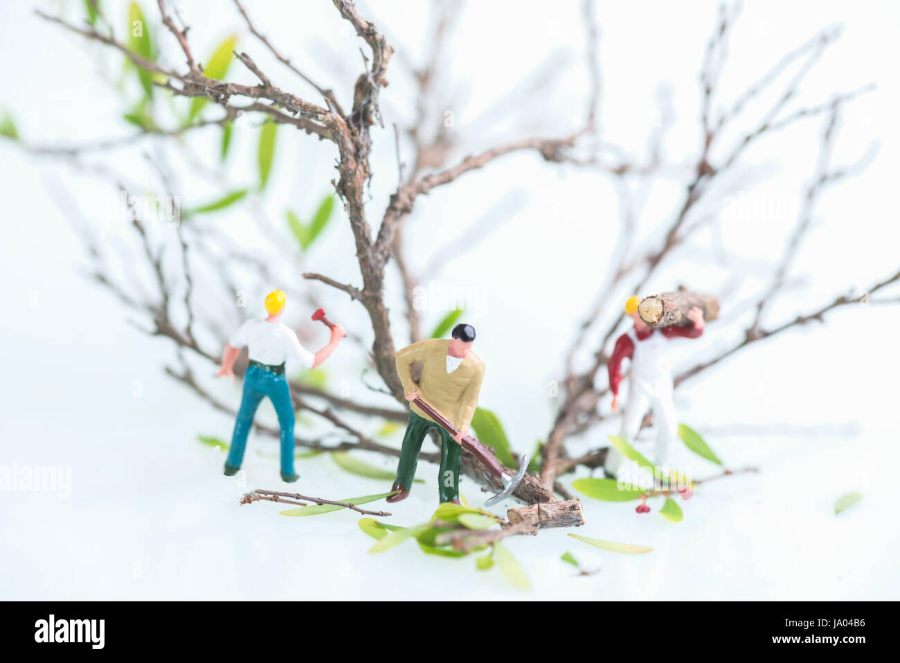 humans, human beings, people, folk, persons, human, human being, small ...