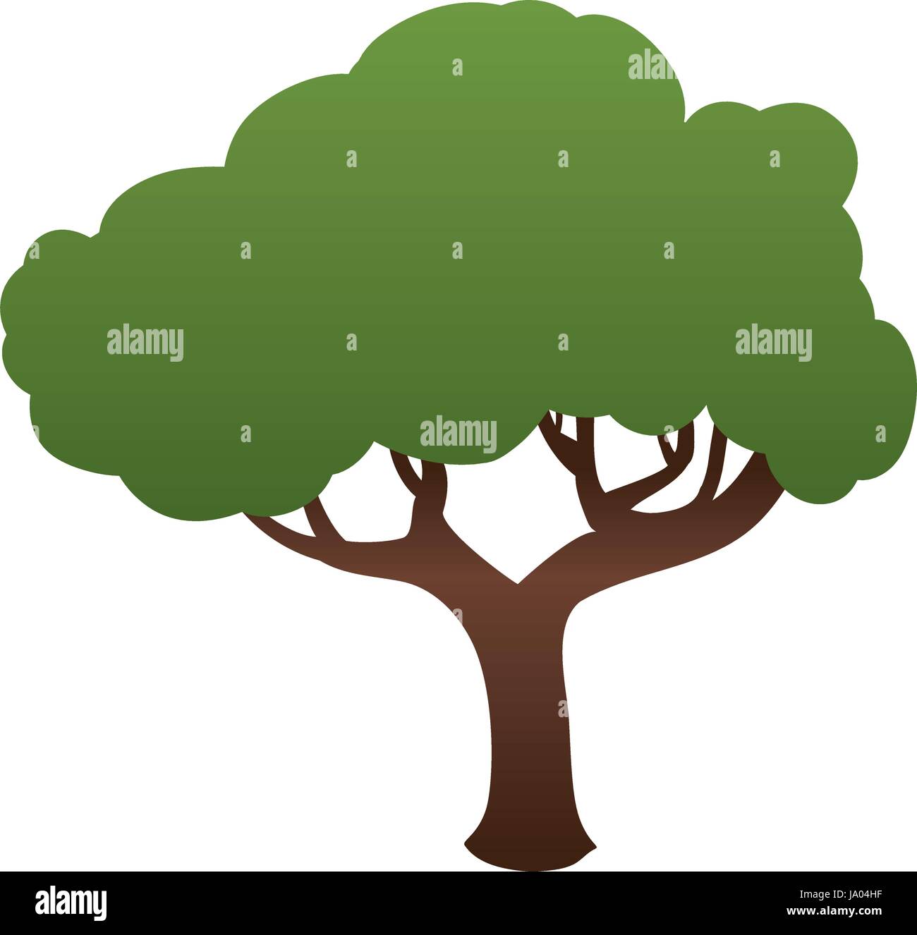 Beautiful tree isolated Stock Vector Image & Art - Alamy