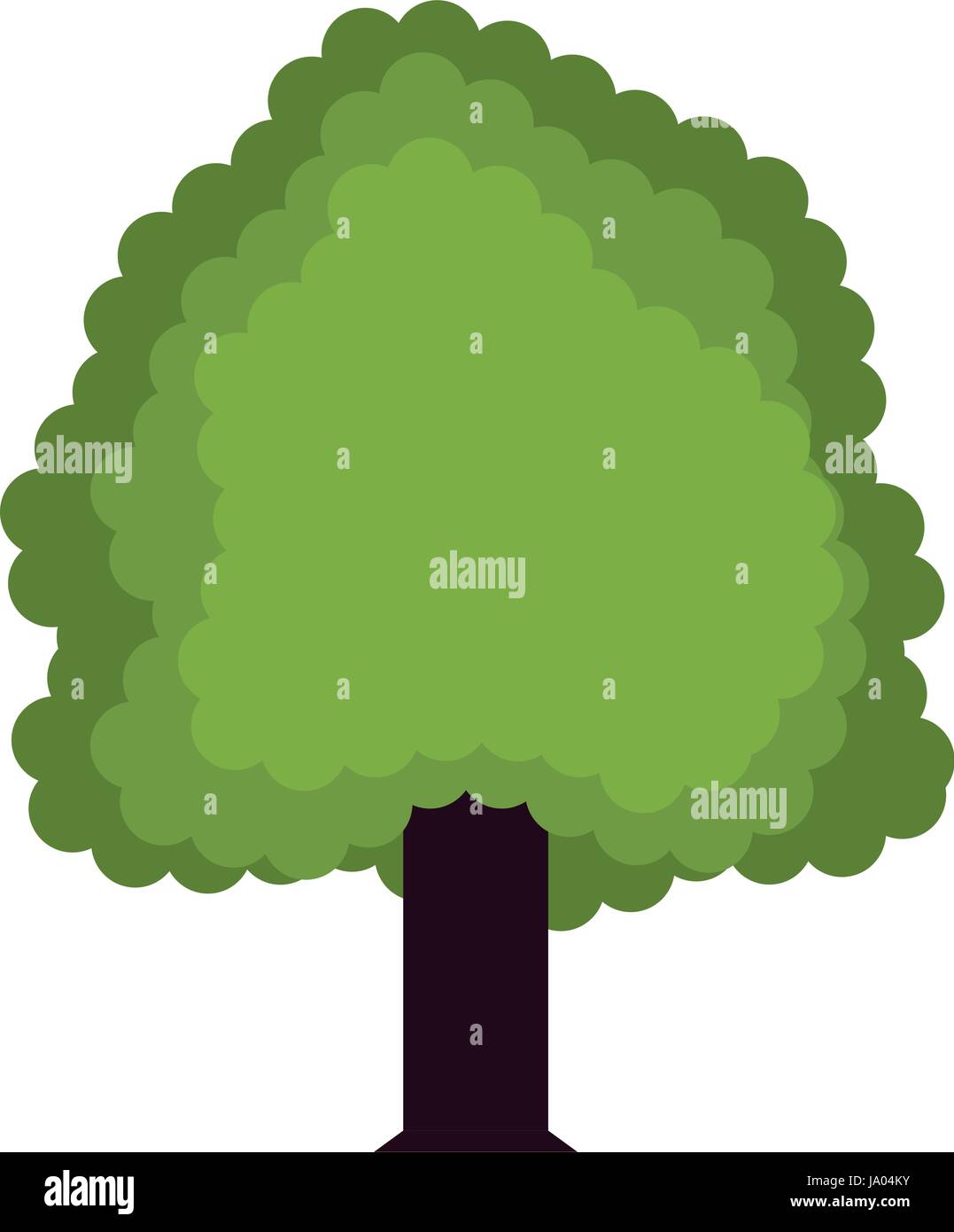 Beautiful tree isolated Stock Vector Image & Art - Alamy