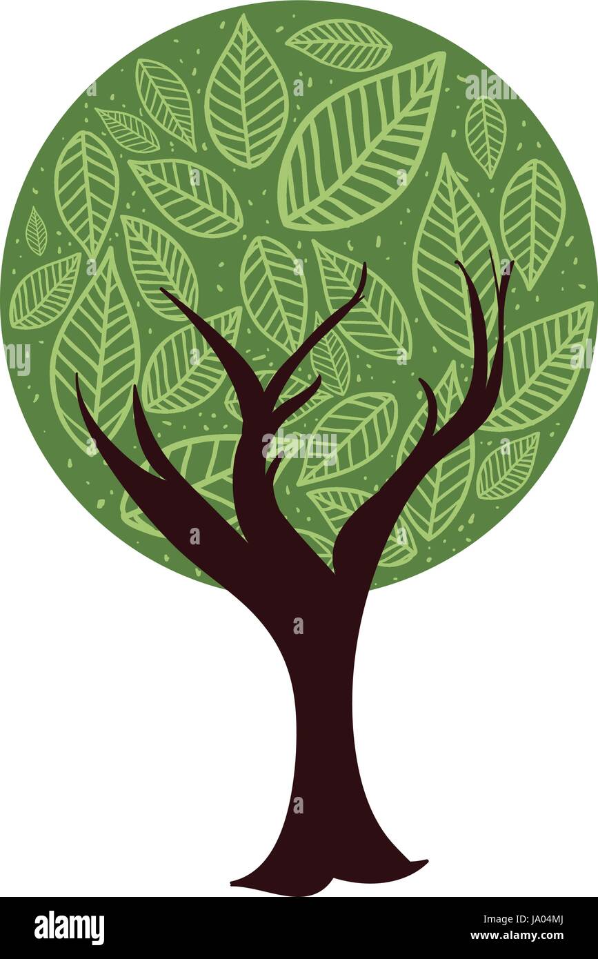 Beautiful tree isolated Stock Vector Image & Art - Alamy