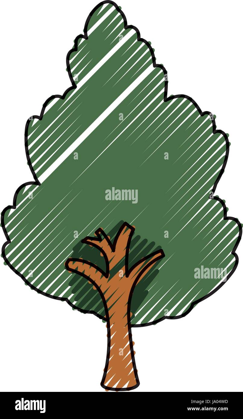 Beautiful tree isolated Stock Vector Image & Art - Alamy