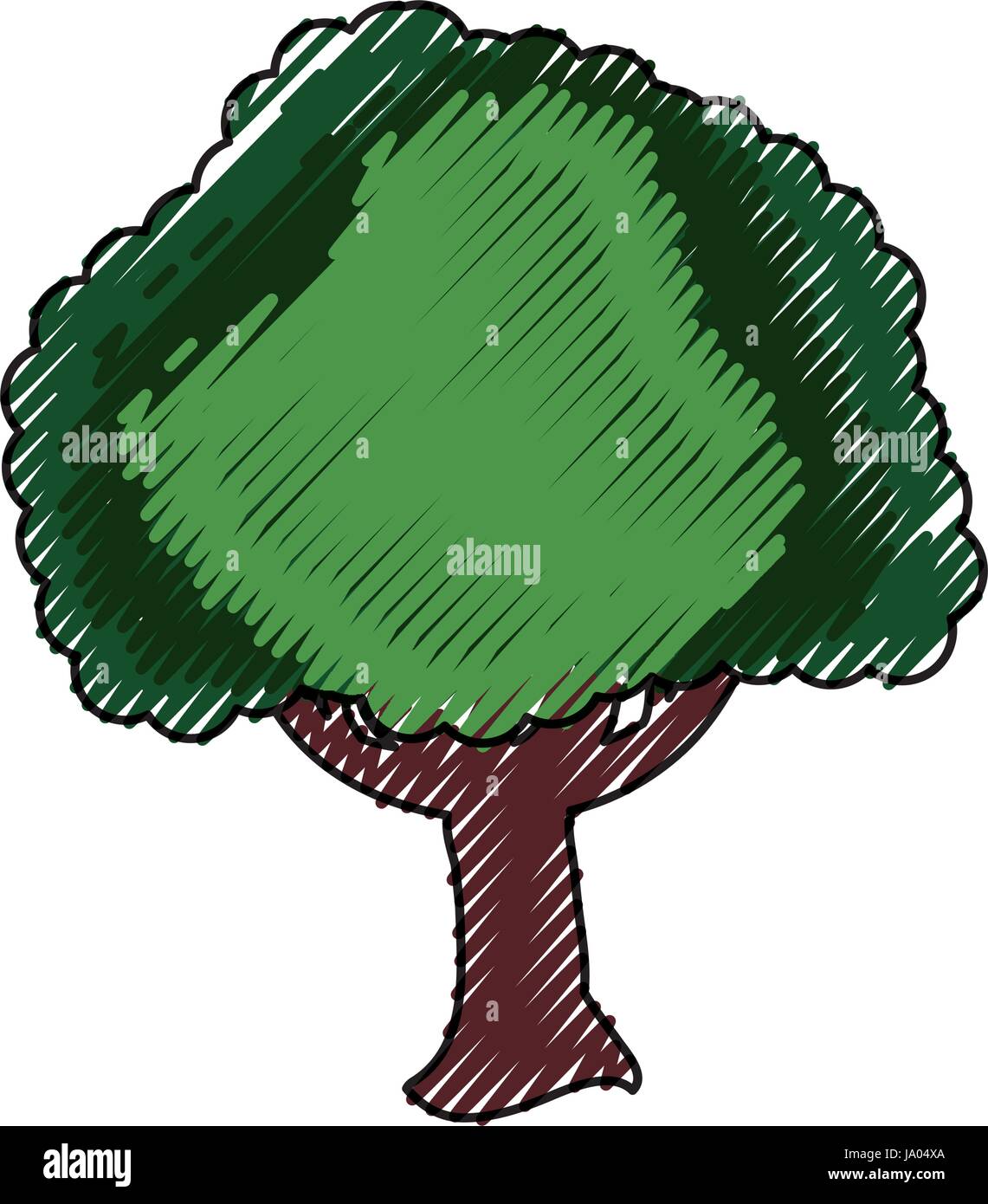 Beautiful tree isolated Stock Vector Image & Art - Alamy