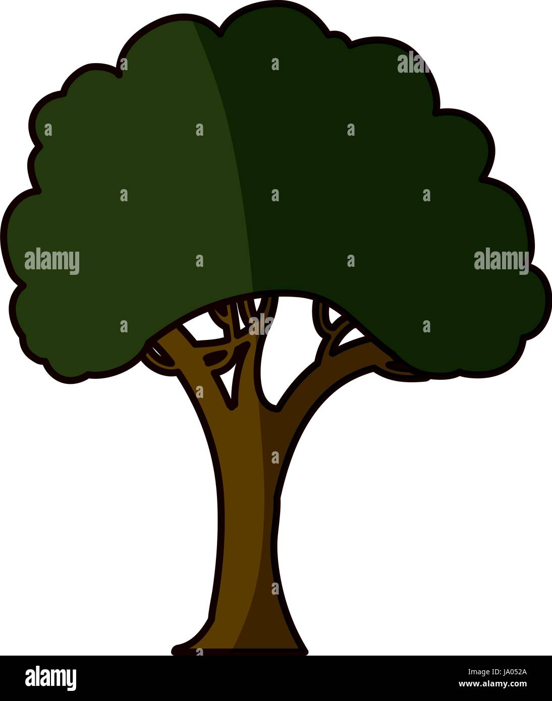 Beautiful tree isolated Stock Vector Image & Art - Alamy