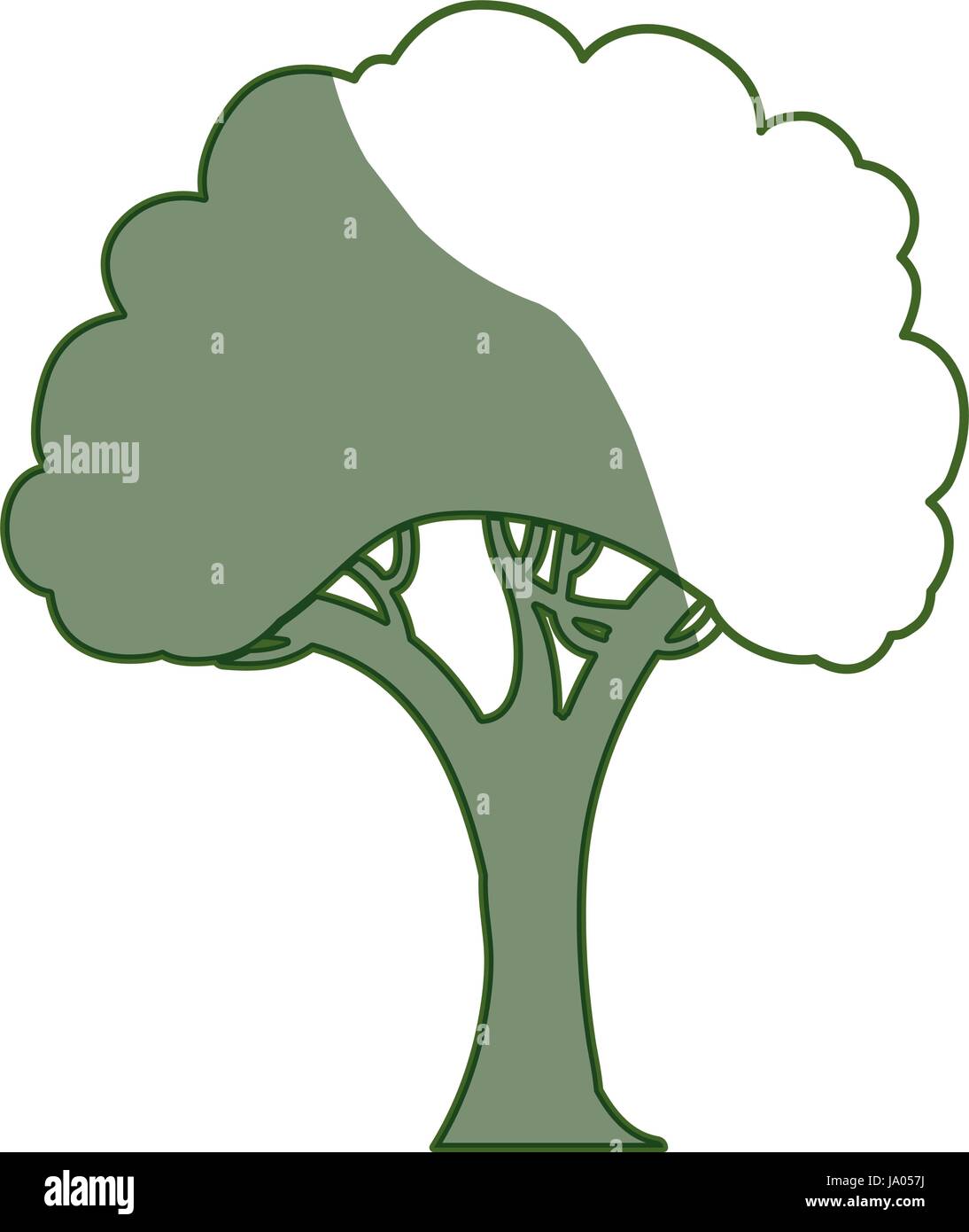 Beautiful tree isolated Stock Vector Image & Art - Alamy