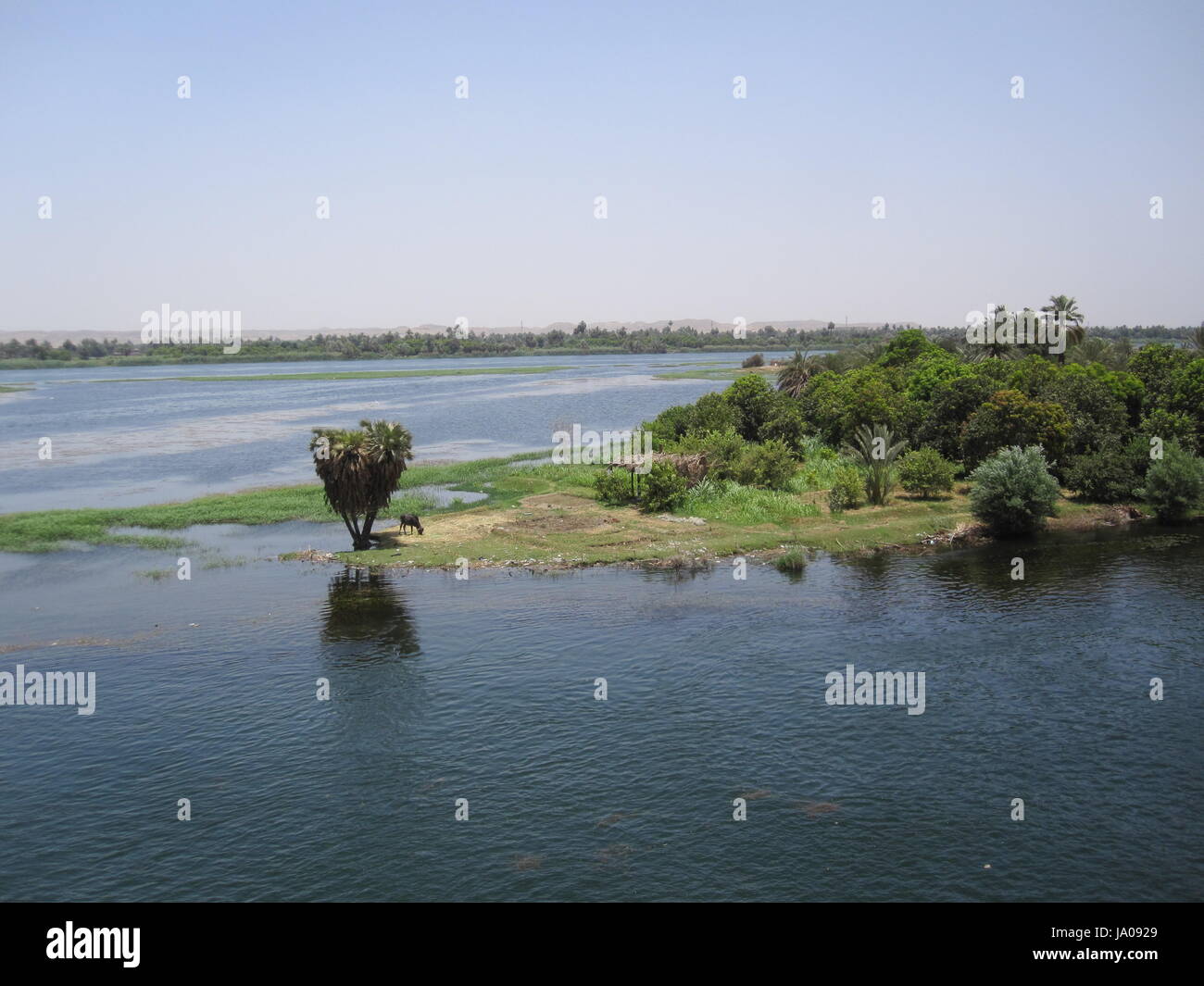 Nile river egypt palmtrees hi-res stock photography and images - Alamy