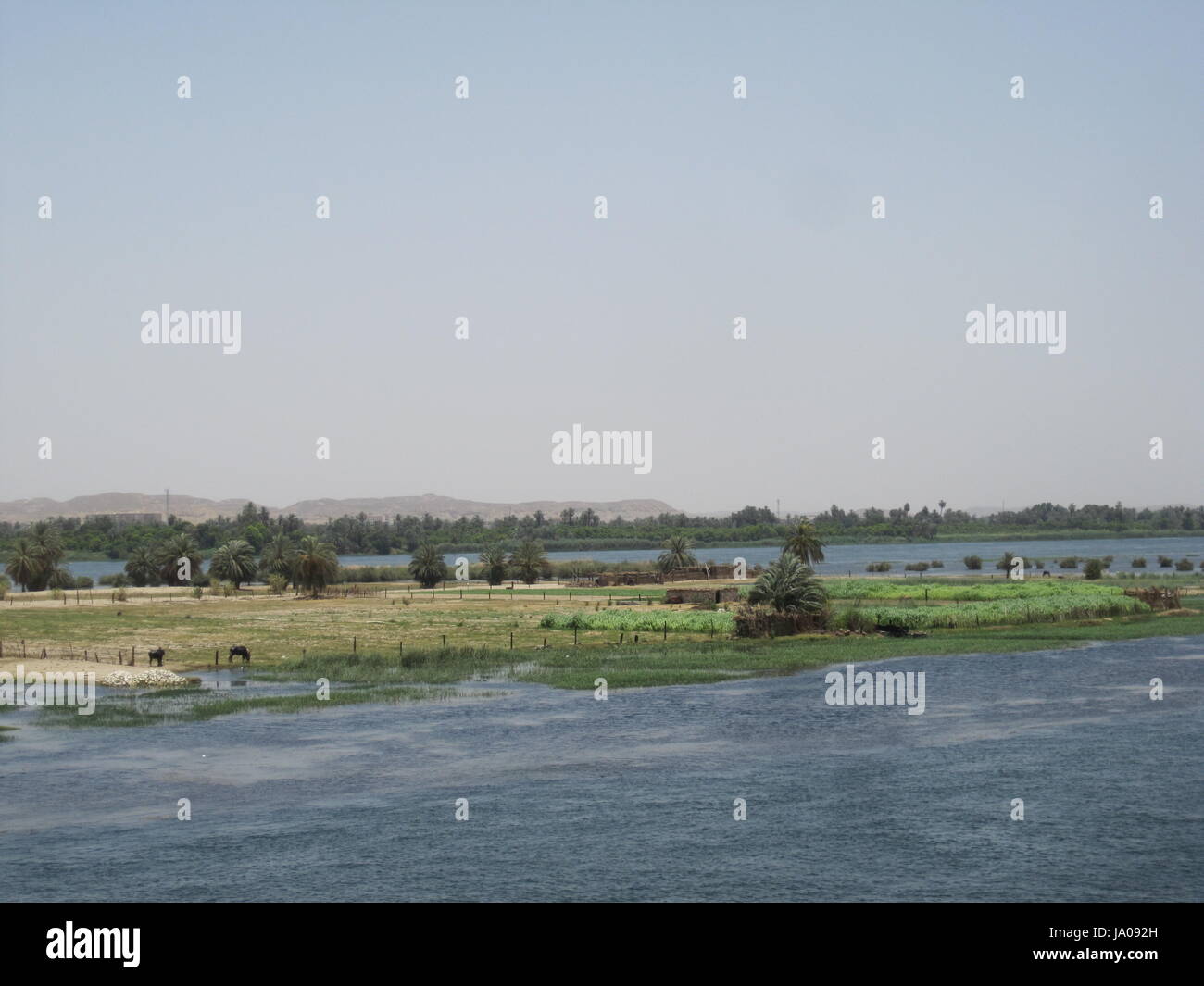 Nile river egypt palmtrees hi-res stock photography and images - Alamy