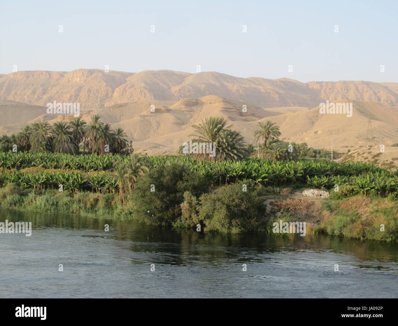 Nile river egypt palmtrees hi-res stock photography and images - Alamy