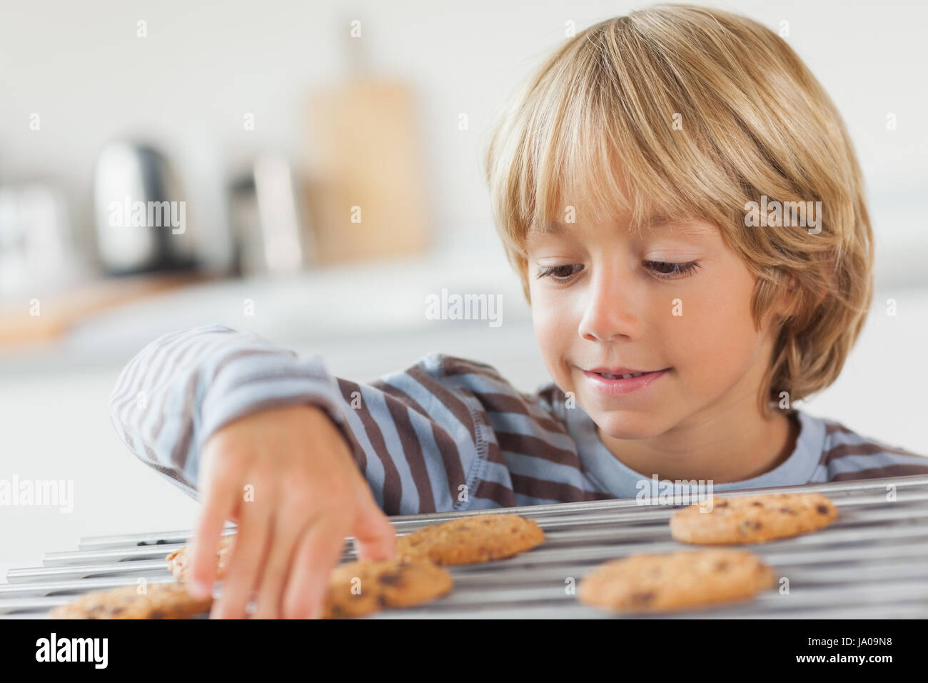 Boy taking a cookie in the kitchen Stock Photo - Alamy
