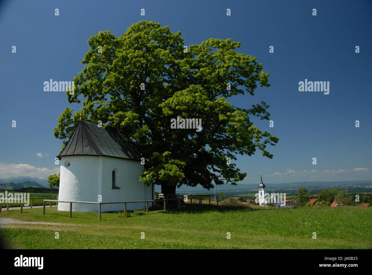 tree, chapel, summer, summerly, bavaria, community, village, market ...
