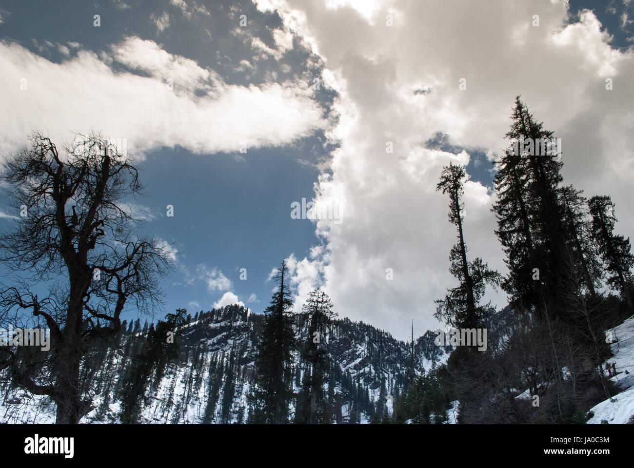 Snow Peak mountain Stock Photo - Alamy
