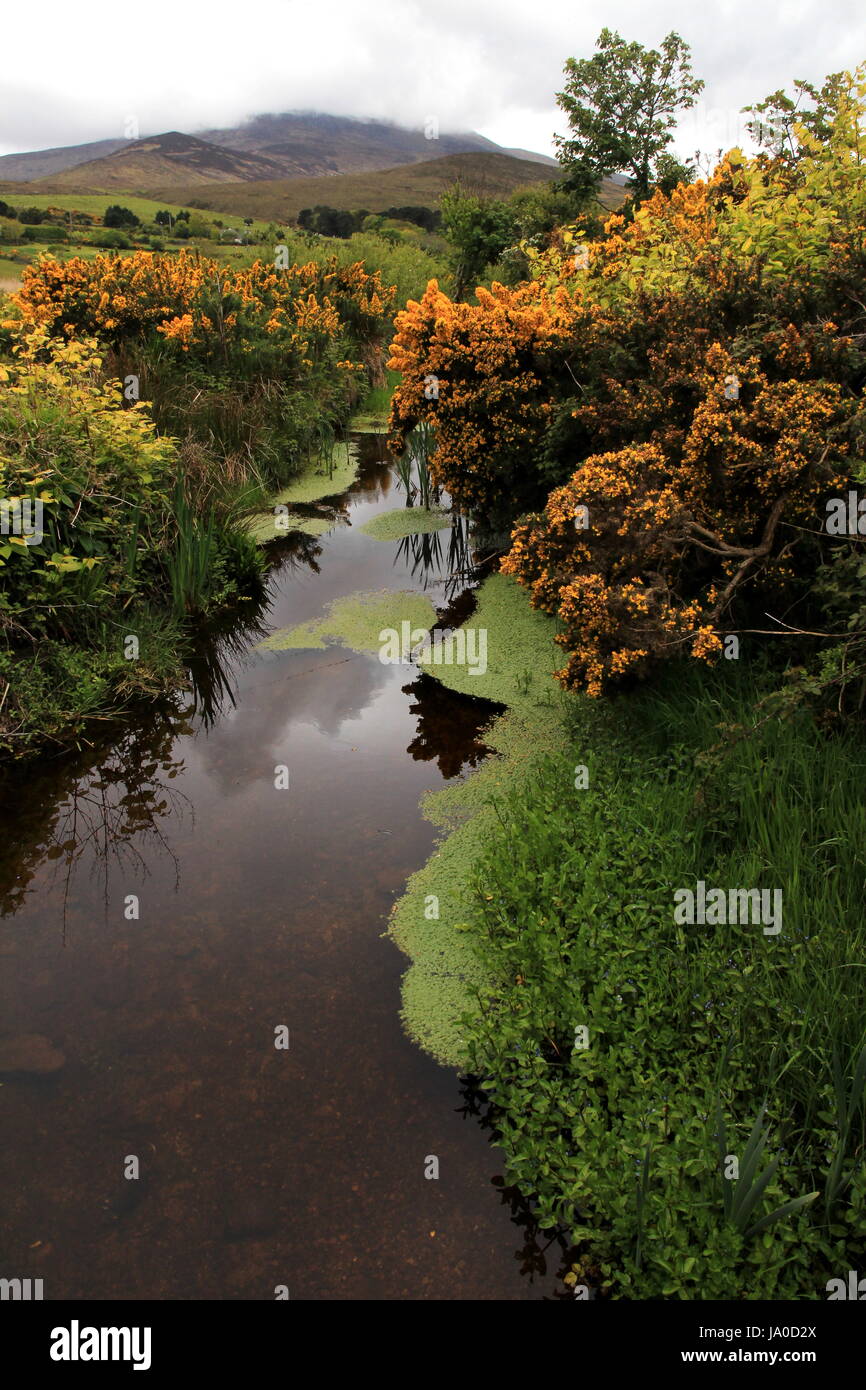 landscape in the north of the dingle peninsula,ireland Stock Photo - Alamy