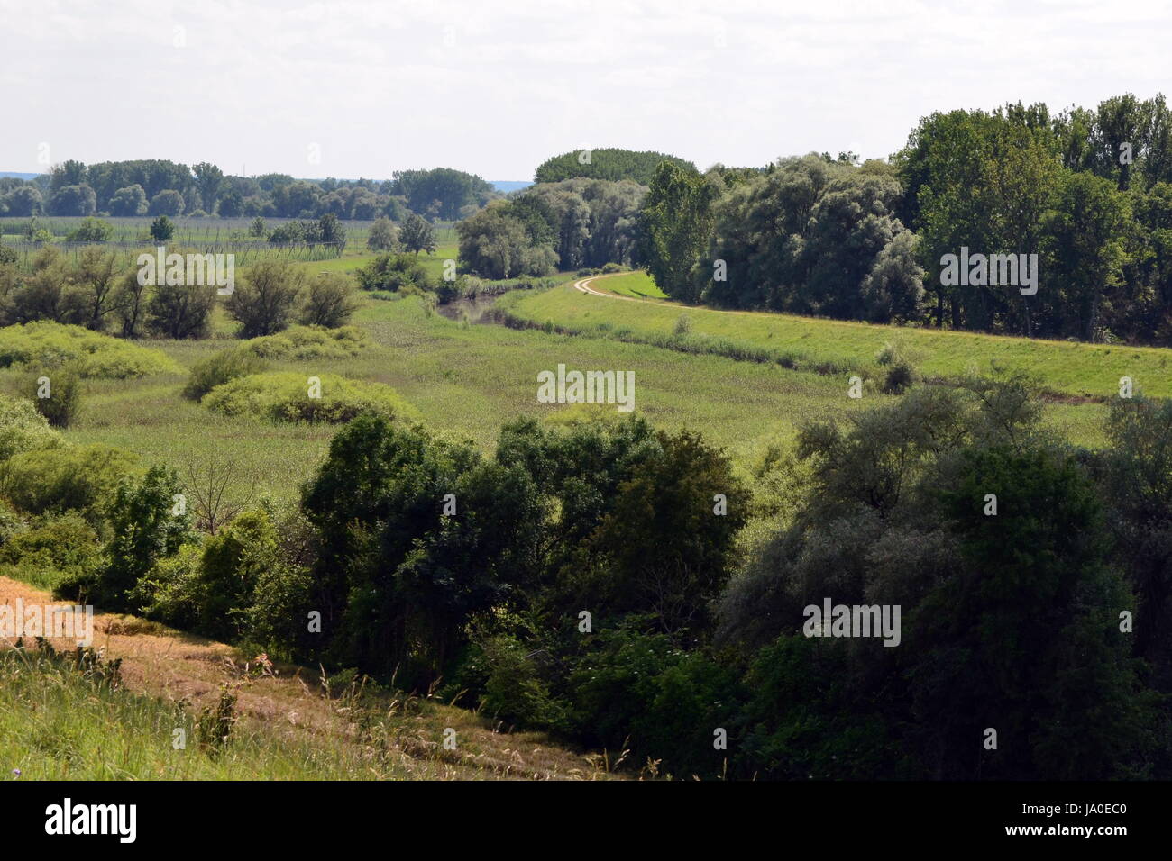 magnificent views of the danube valley Stock Photo - Alamy