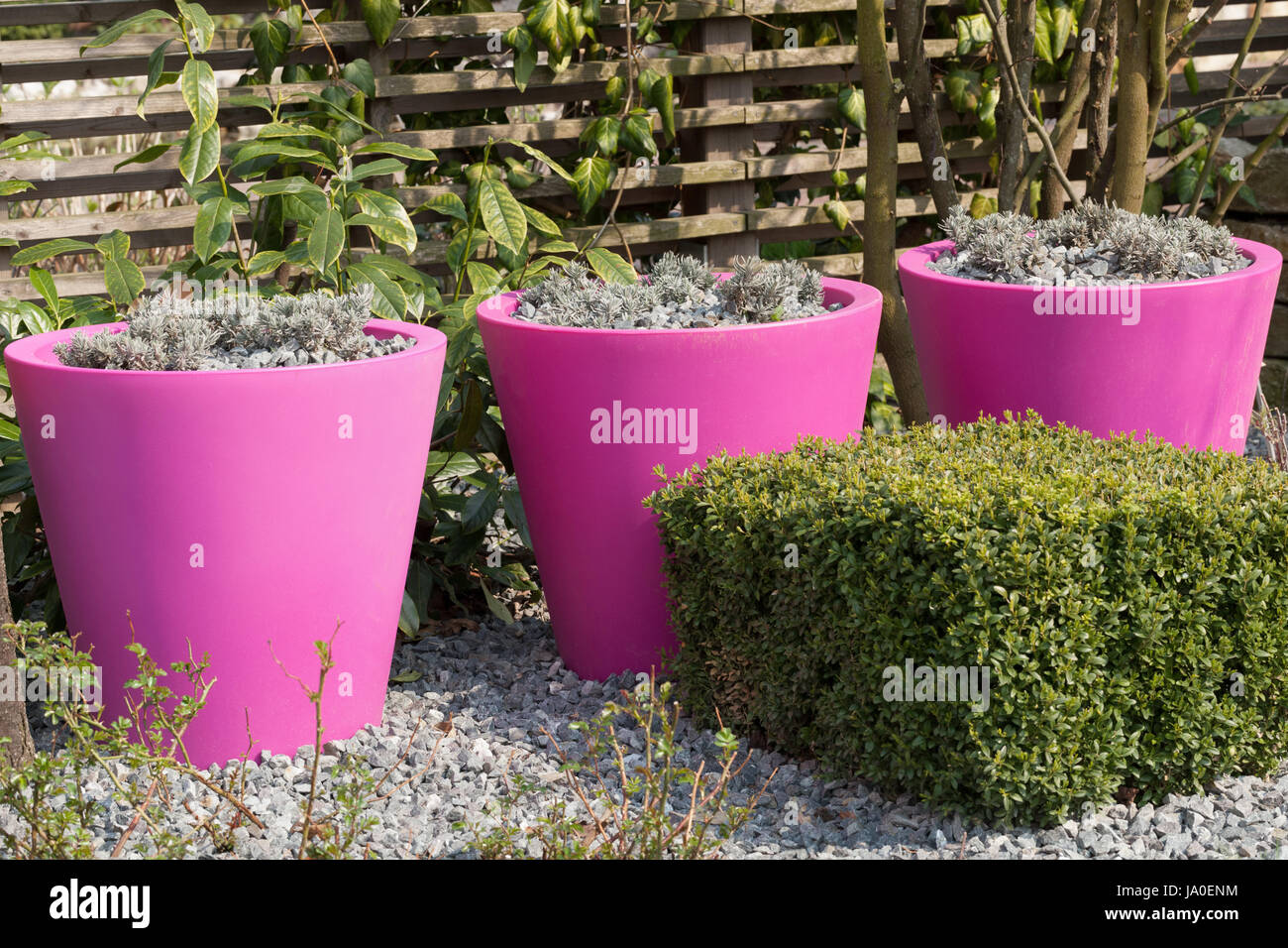 pink flower pots Stock Photo - Alamy