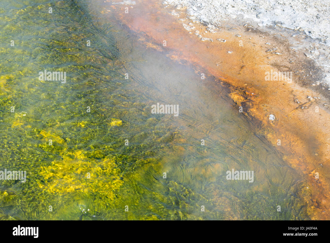 Geothermal pools in Yellowstone National Park Stock Photo - Alamy