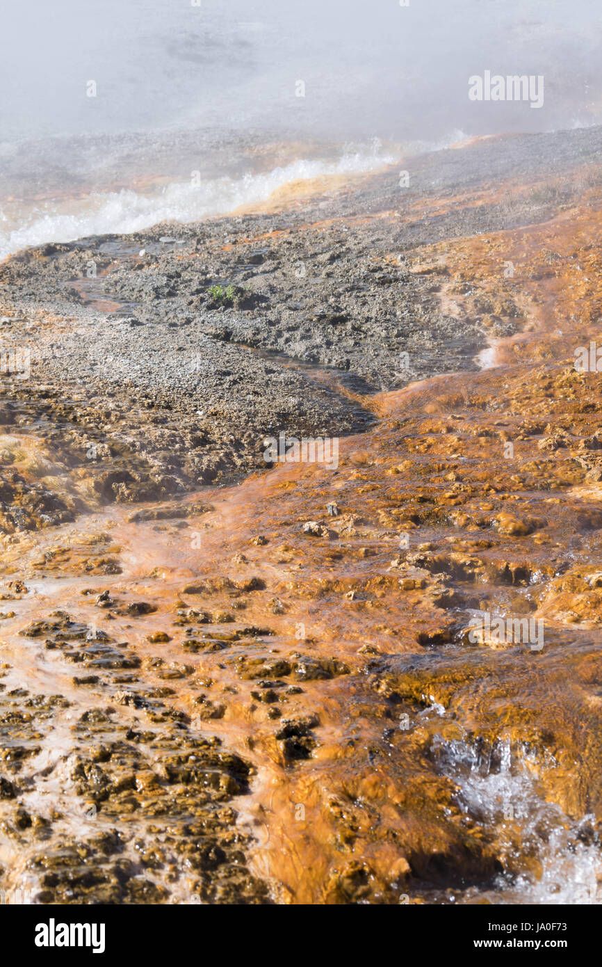 From hot springs located at Yellowstone National Park Stock Photo - Alamy