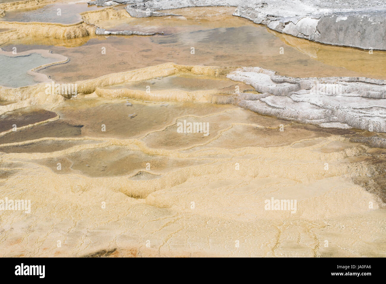 Geyser pools and waters at Yellowstone National Park Stock Photo - Alamy