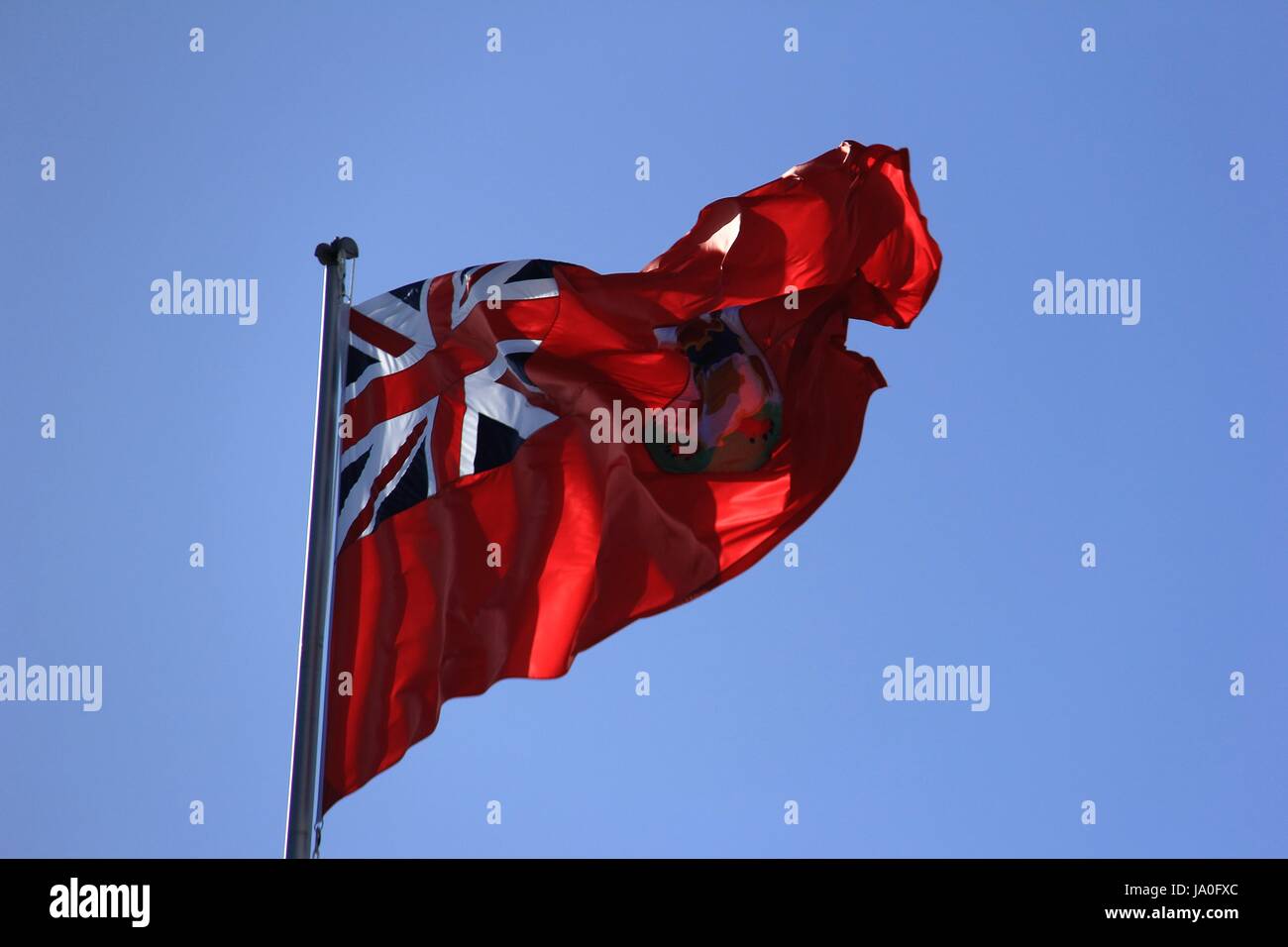 Bermudian hi-res stock photography and images - Alamy