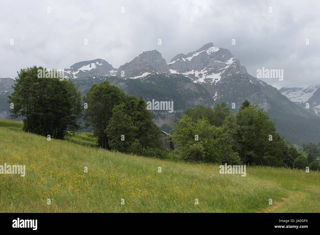 alps, switzerland, cloudy, rural, mountain, peasant, tree, trees, alps ...