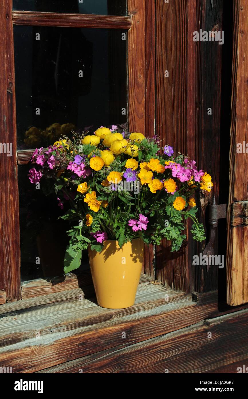 house, building, closeup, window, porthole, dormer window, pane, wood ...