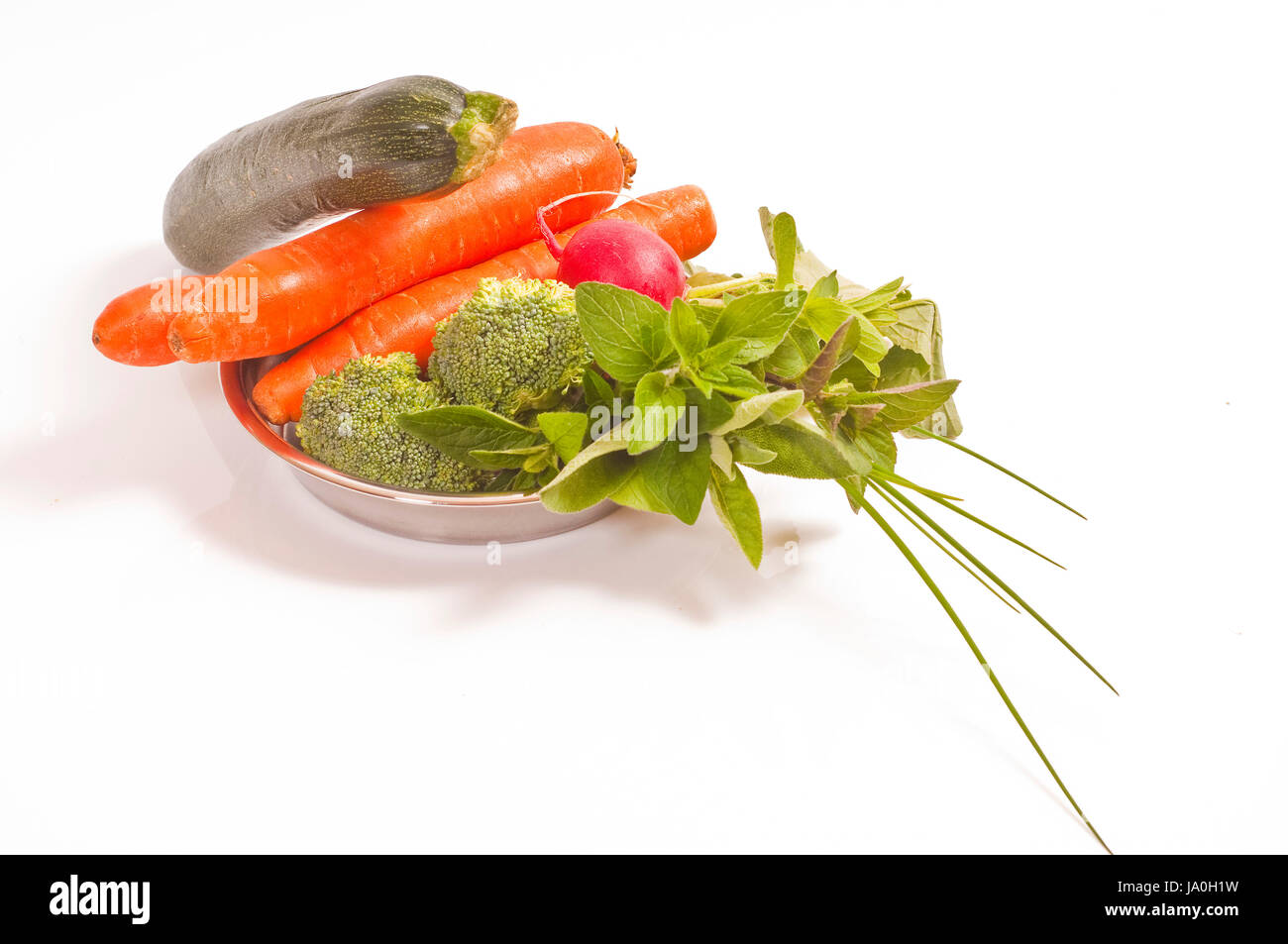 barf in stainless steel bowls Stock Photo - Alamy