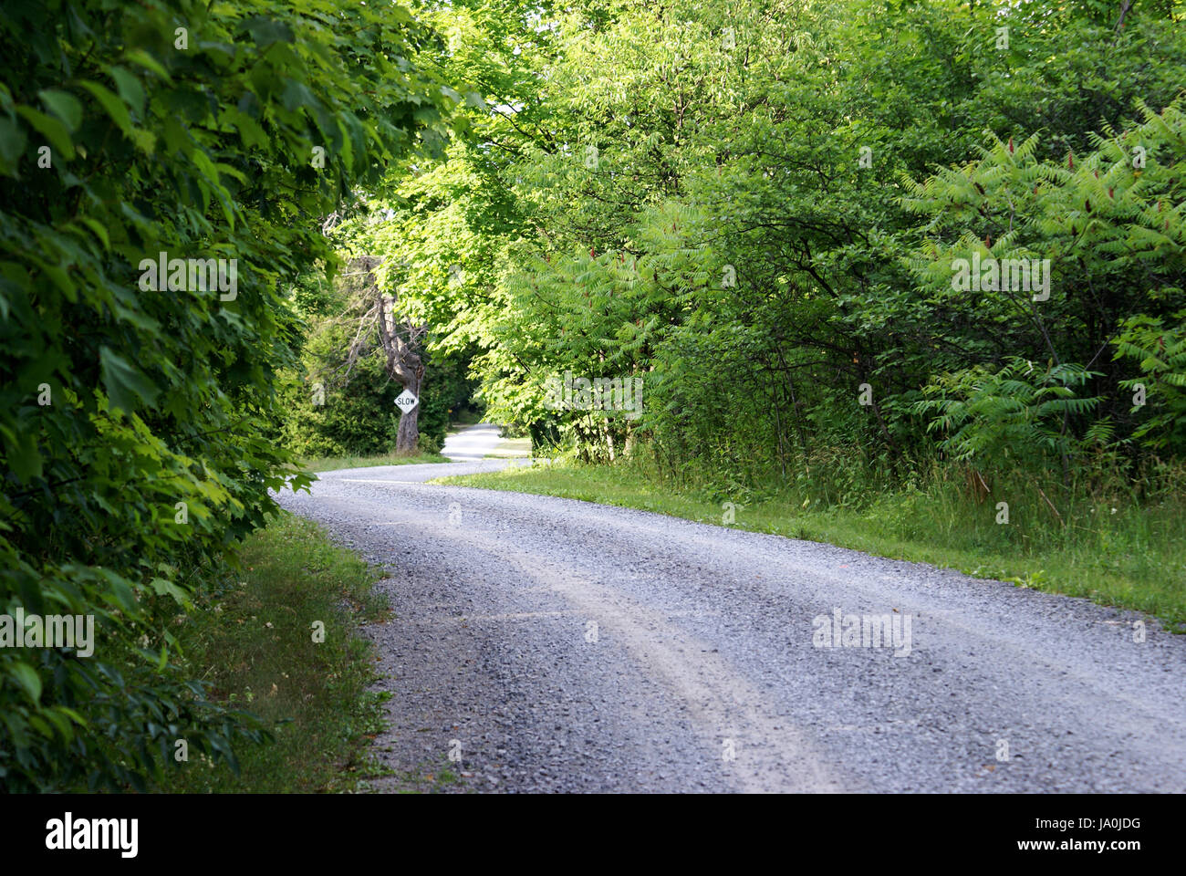 beautiful, beauteously, nice, travel, tree, trees, traffic ...