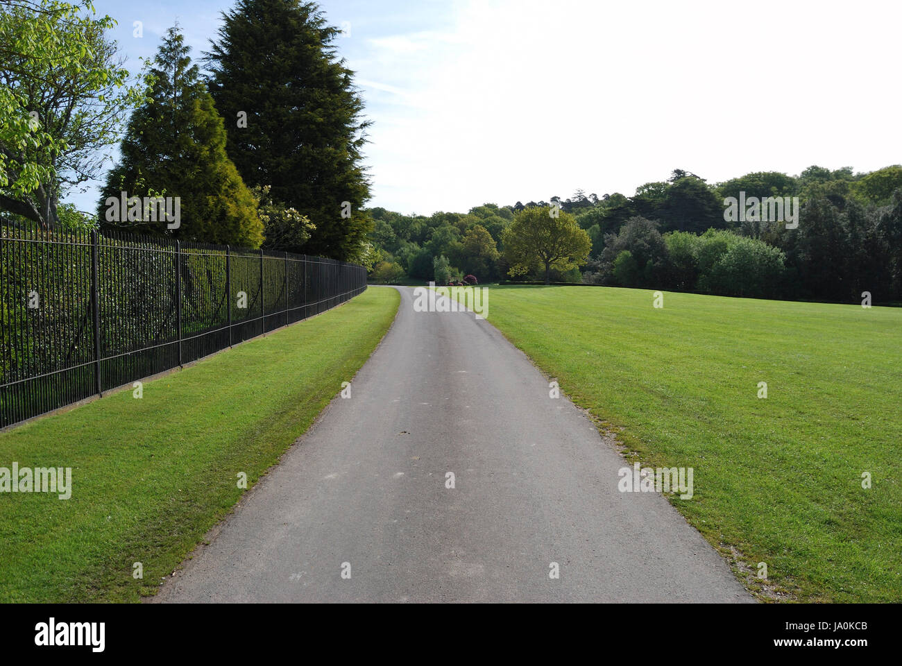 england, bend, curve, road, street, track, tree, trees, english, meadow ...