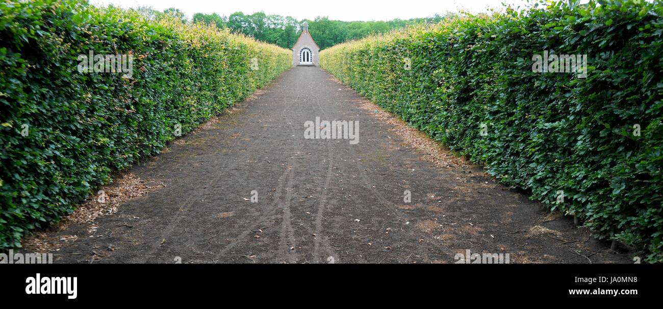 road, path, way, street, chapel, europe, hedge, vegetation, landscape ...