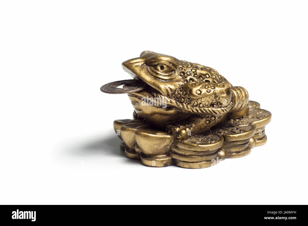 The chinese mascot toad with coin isolated on the white background ...