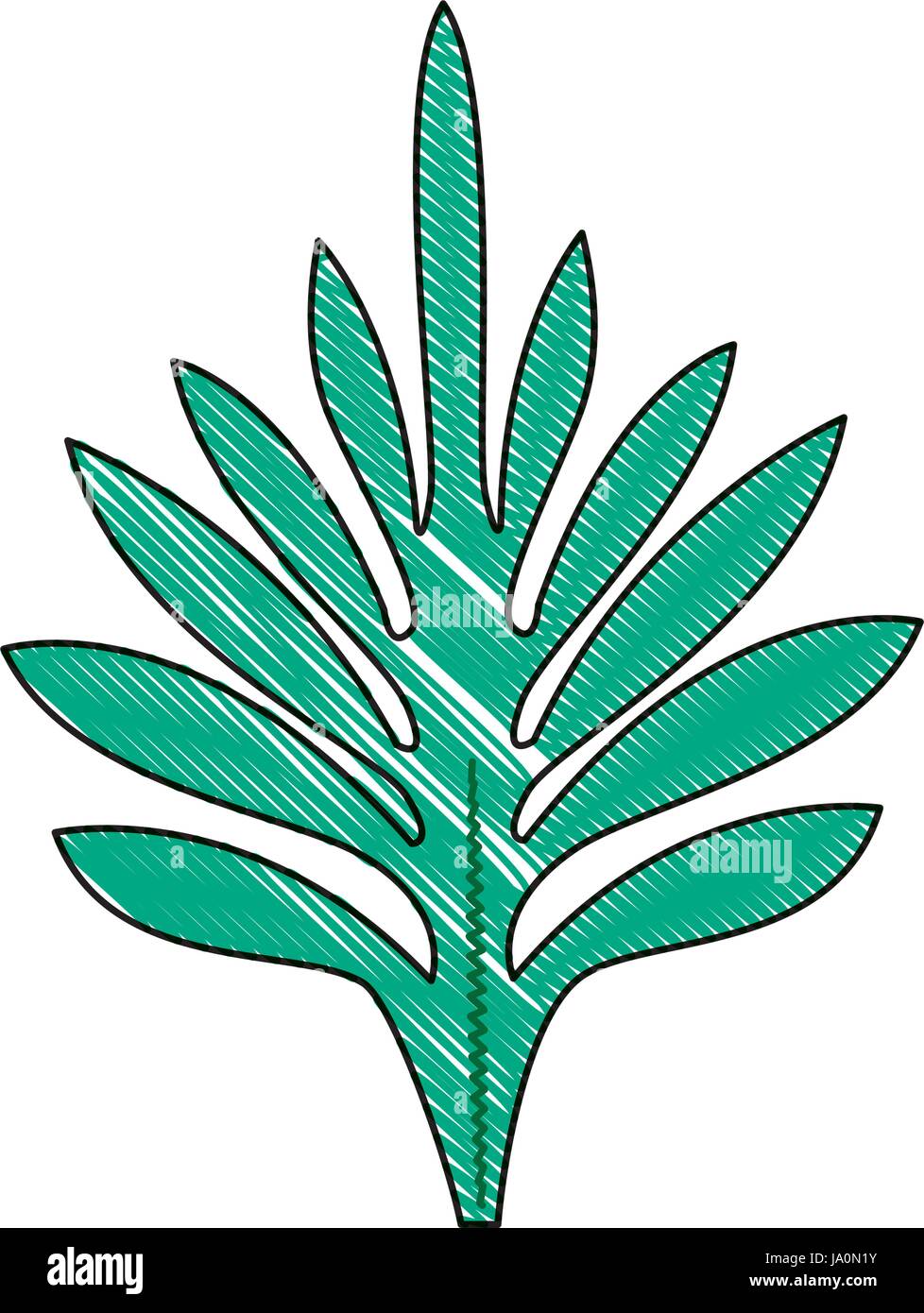 leaves plant spring nature foliage garden Stock Vector Image & Art - Alamy