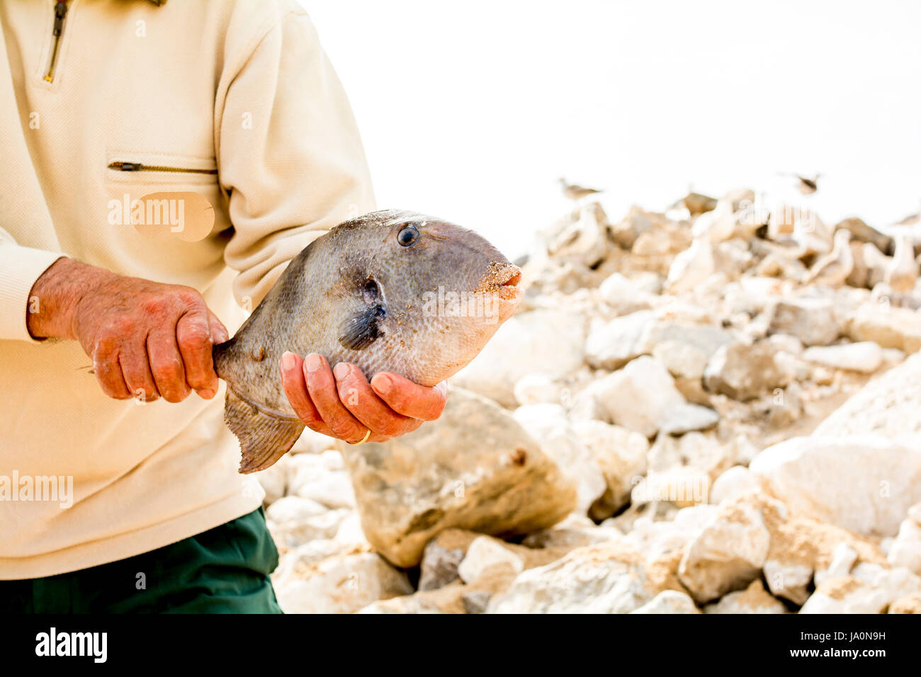 Looking around series Stock Photo - Alamy