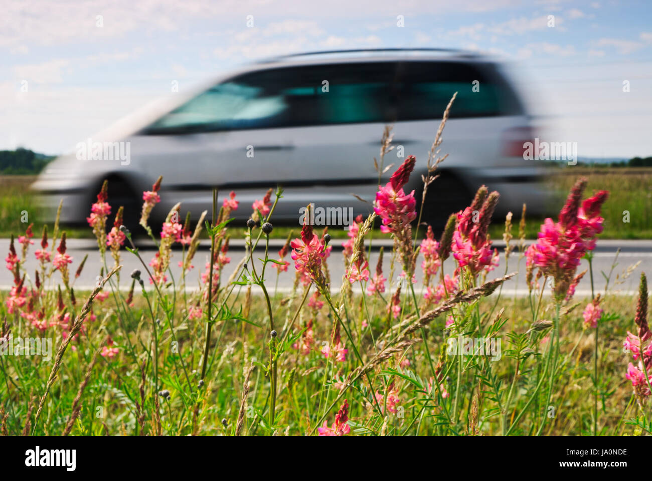 Overrun by car hi-res stock photography and images - Alamy