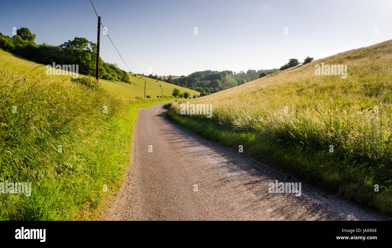 A typical single-track country lane through hay meadows and pastures on ...