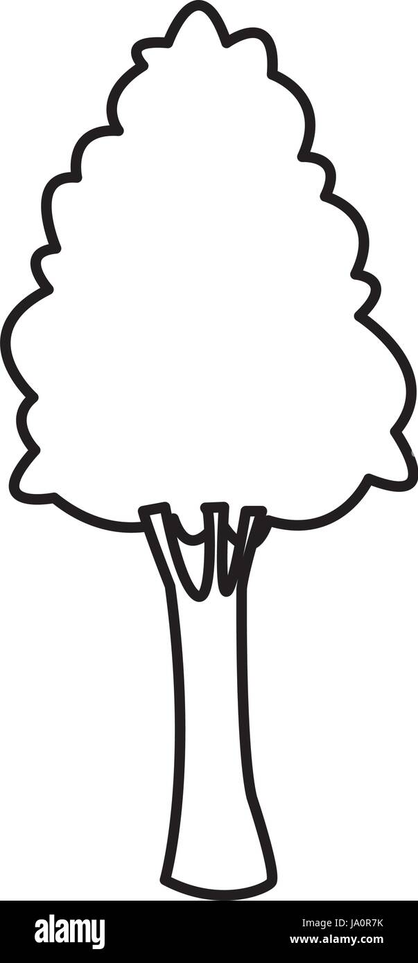 Path through scenic forest Stock Vector Images - Alamy