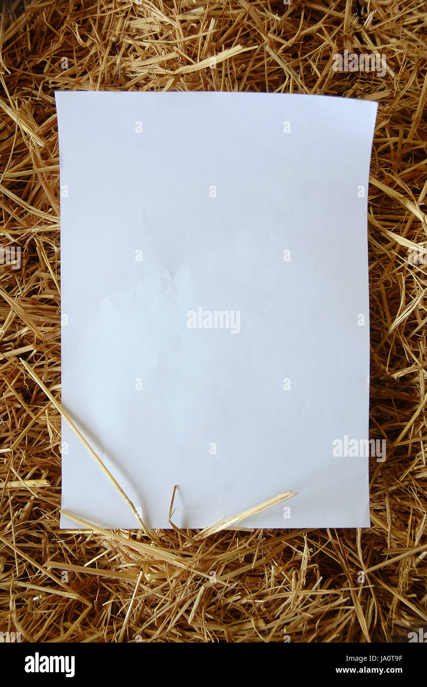 old, sheet of paper, paper, meadow, grass, lawn, green, close, note ...