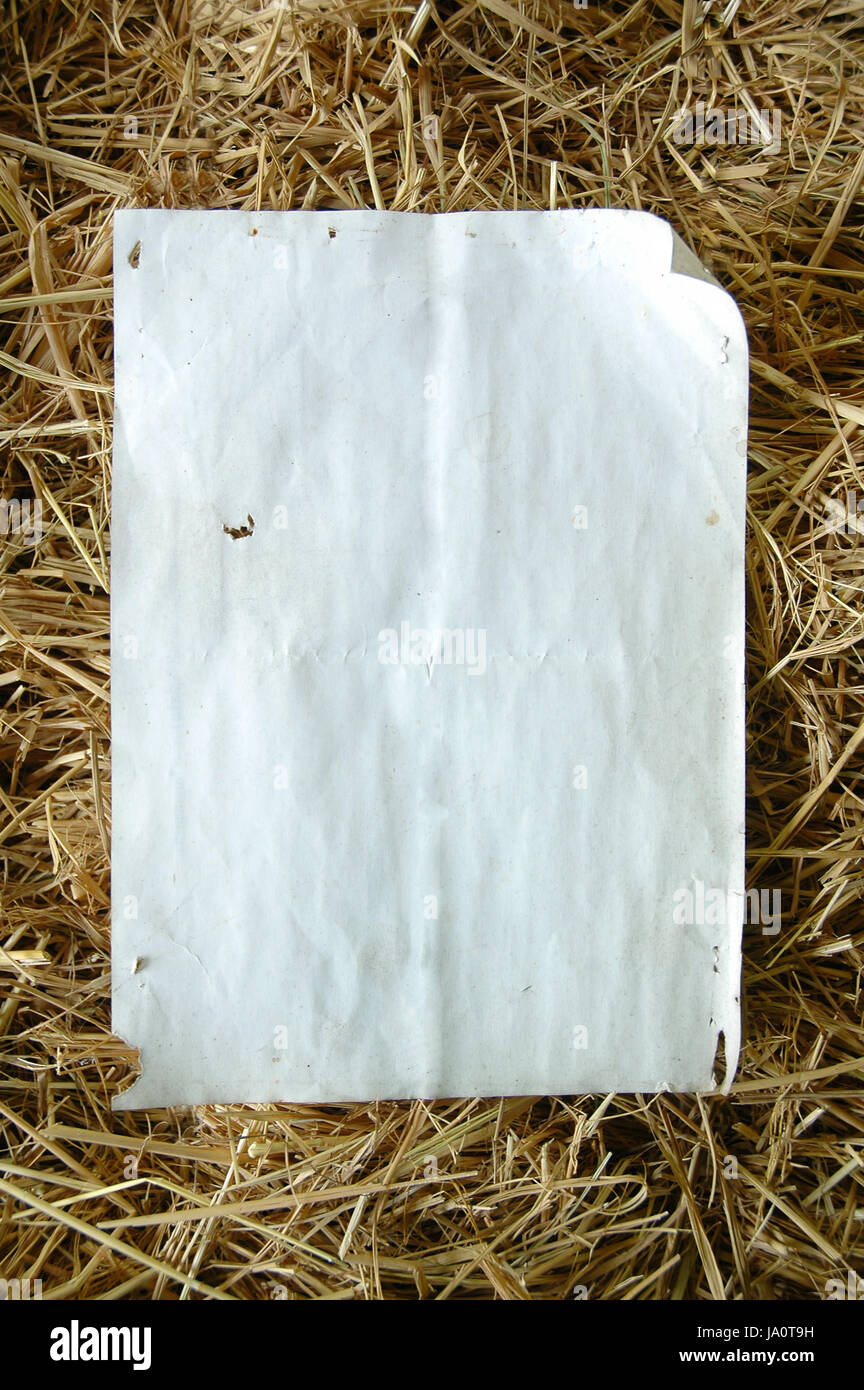 old, sheet of paper, paper, meadow, grass, lawn, green, close, note ...