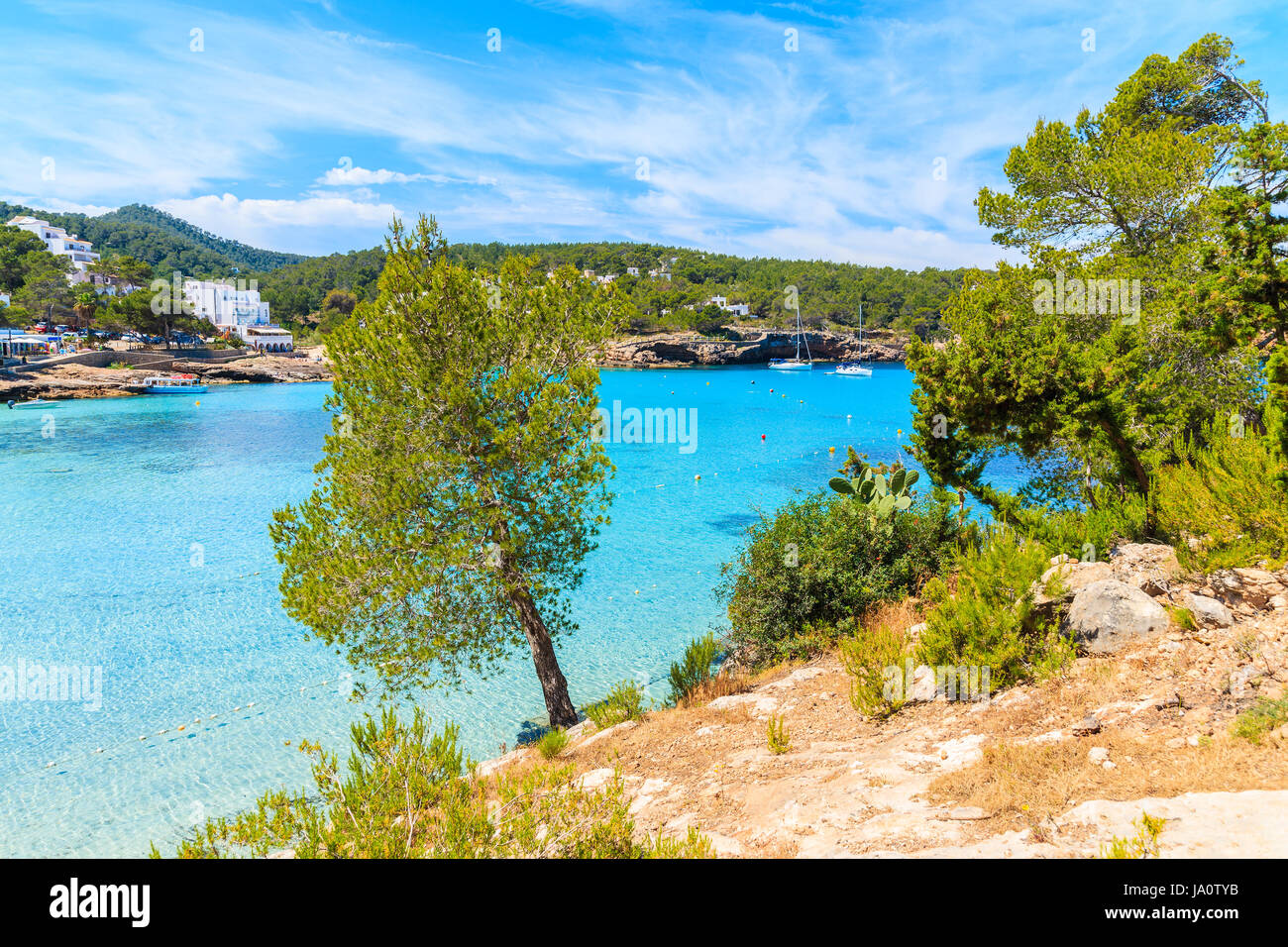 Green pine tree on cliff rock overlooking beautiful Cala Portinatx bay ...