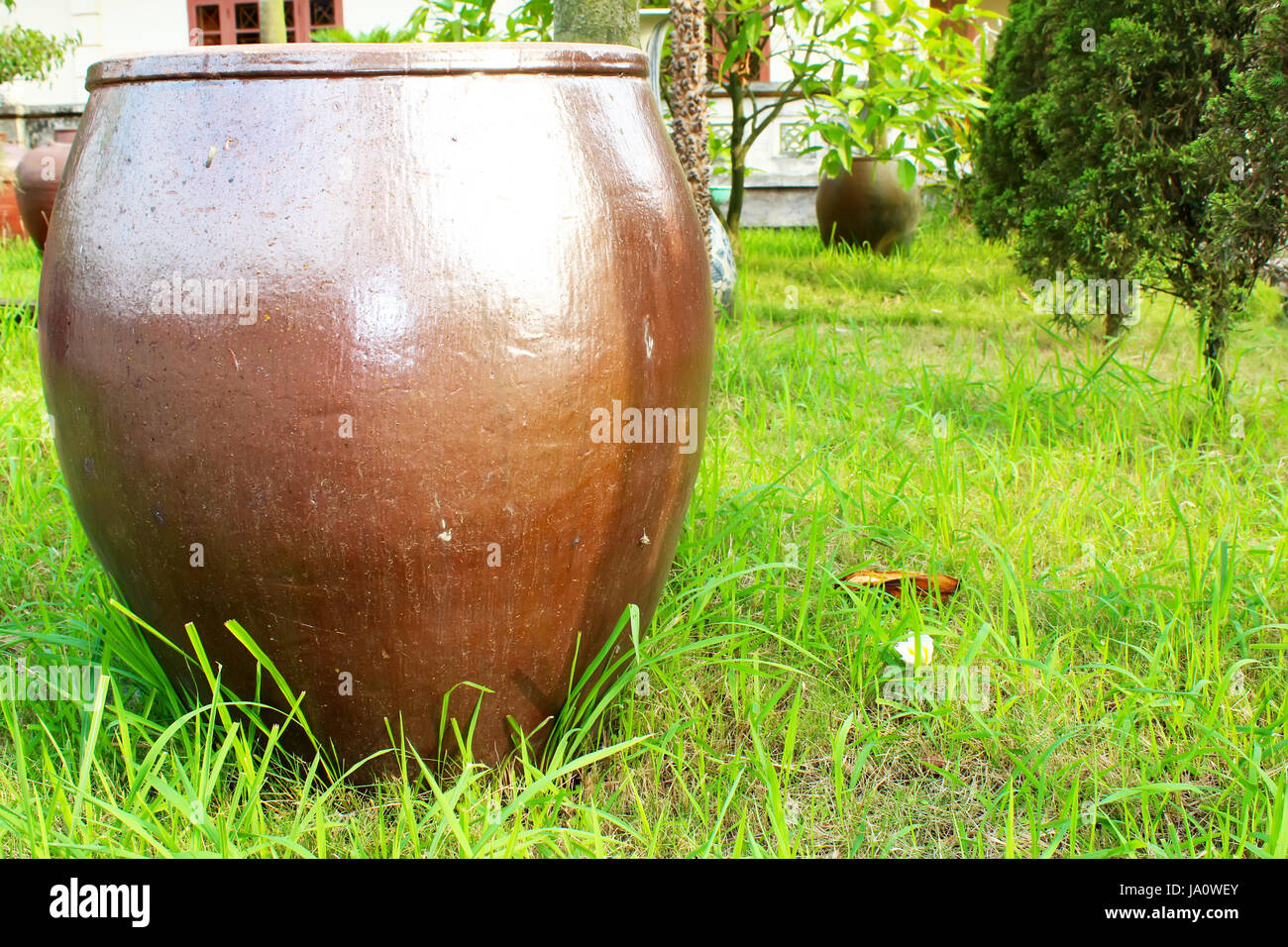 beautiful, beauteously, nice, object, art, culture, isolated, colour ...