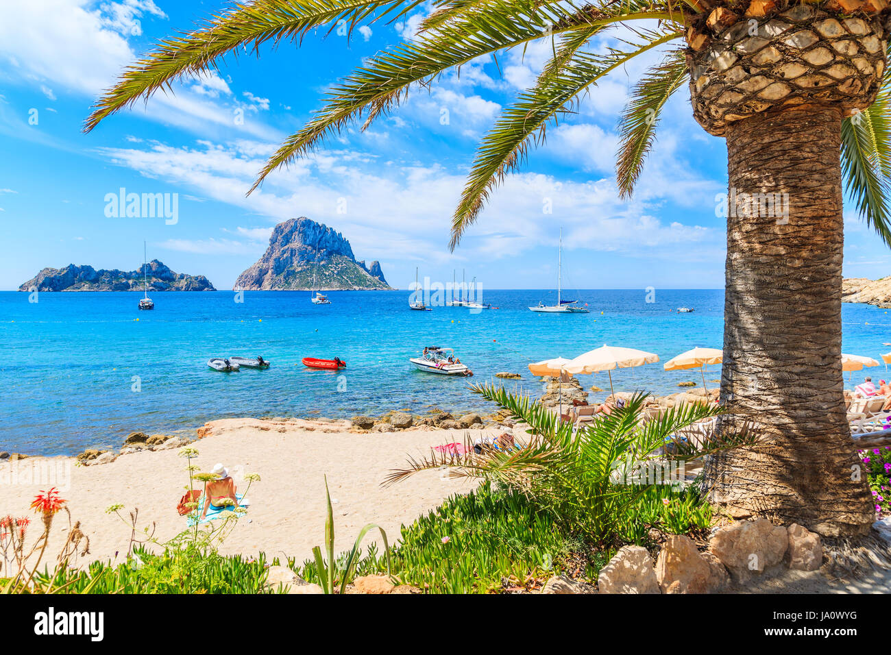 View of idyllic beach of Cala d'Hort wih palm tree in foreground, Ibiza ...