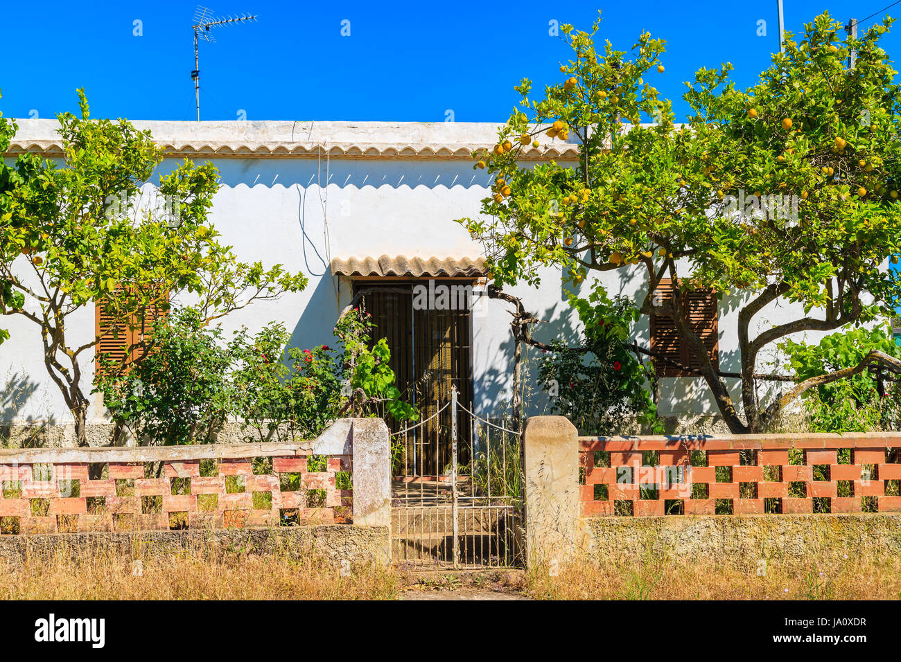 Lemon tree majorca island spain hi-res stock photography and images - Alamy