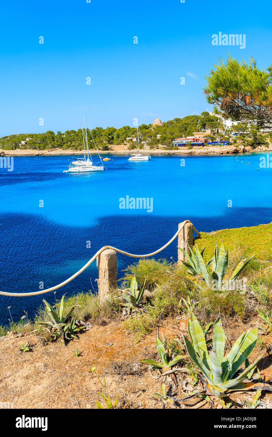 Agave plant on coastal hi-res stock photography and images - Alamy