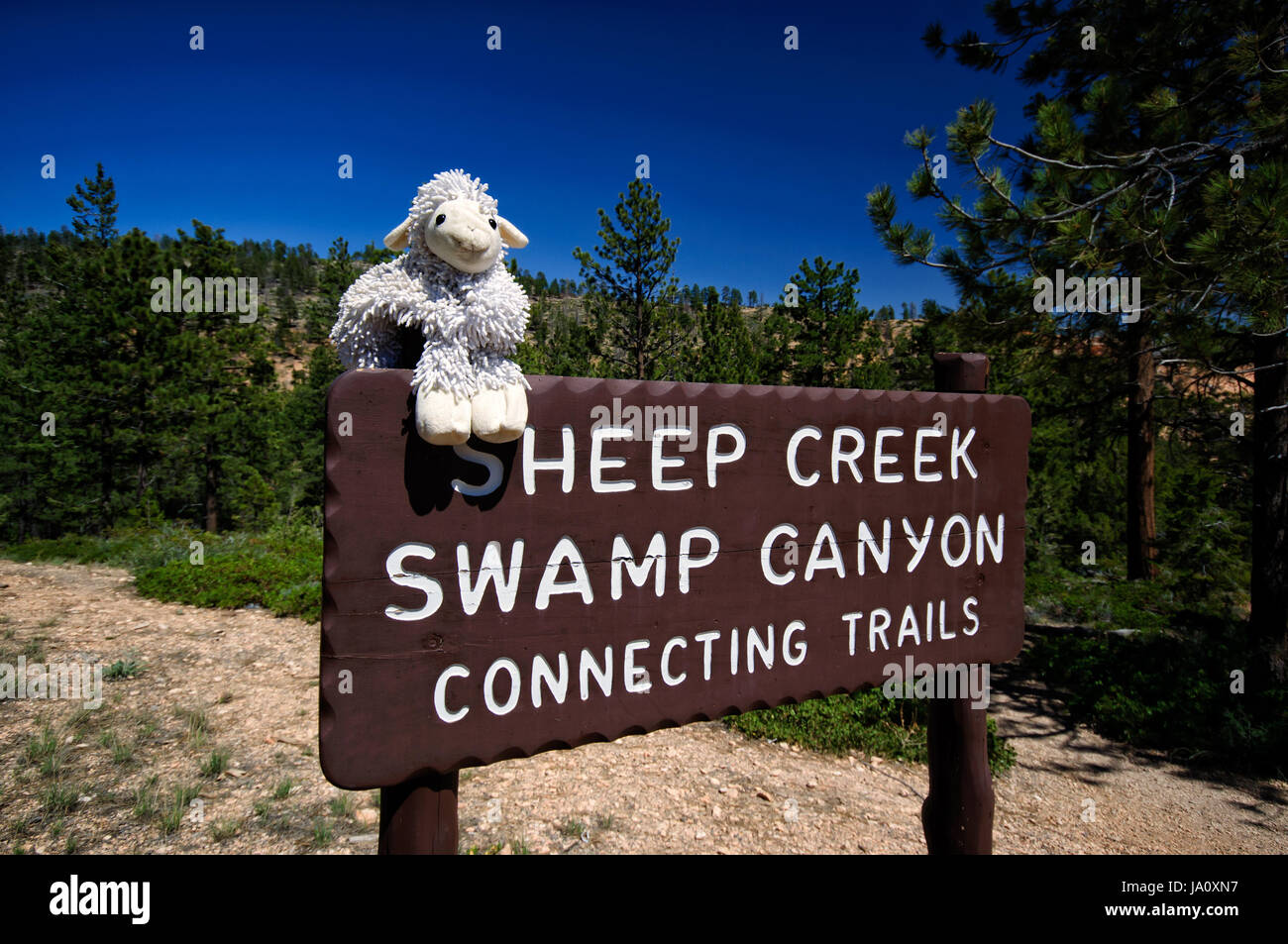sign, signal, sheep, signpost, Canyon, forest, sign, signal, tree ...