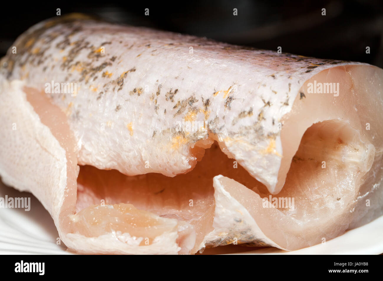 angle, fish, raw, piece, section, segment, part, area, fresh, close ...
