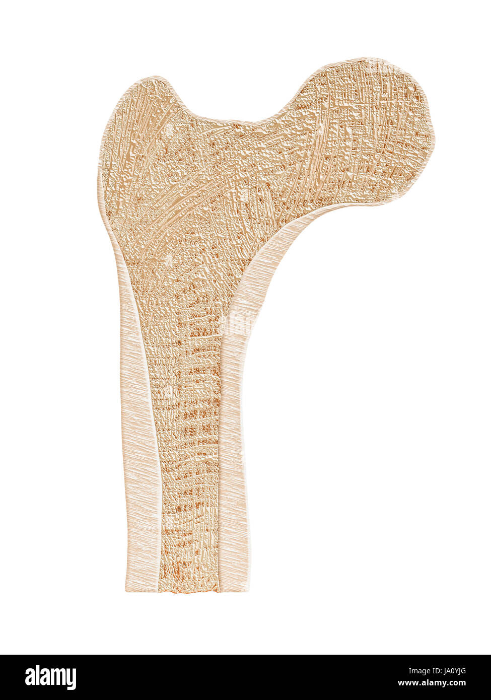 Breaking bone hi-res stock photography and images - Alamy