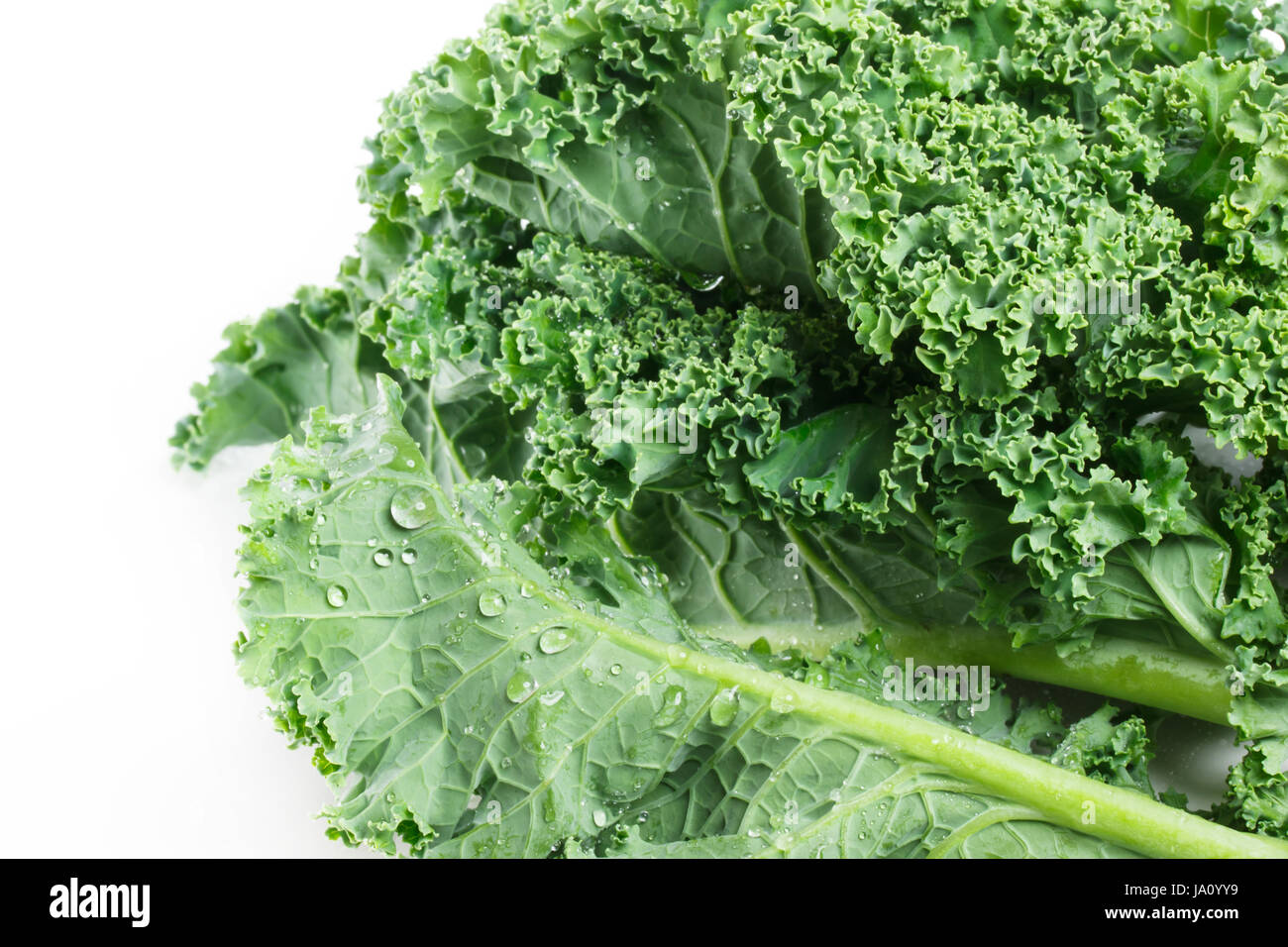 close, food, aliment, leaf, closeup, freshness, dew, vegetable, raw ...